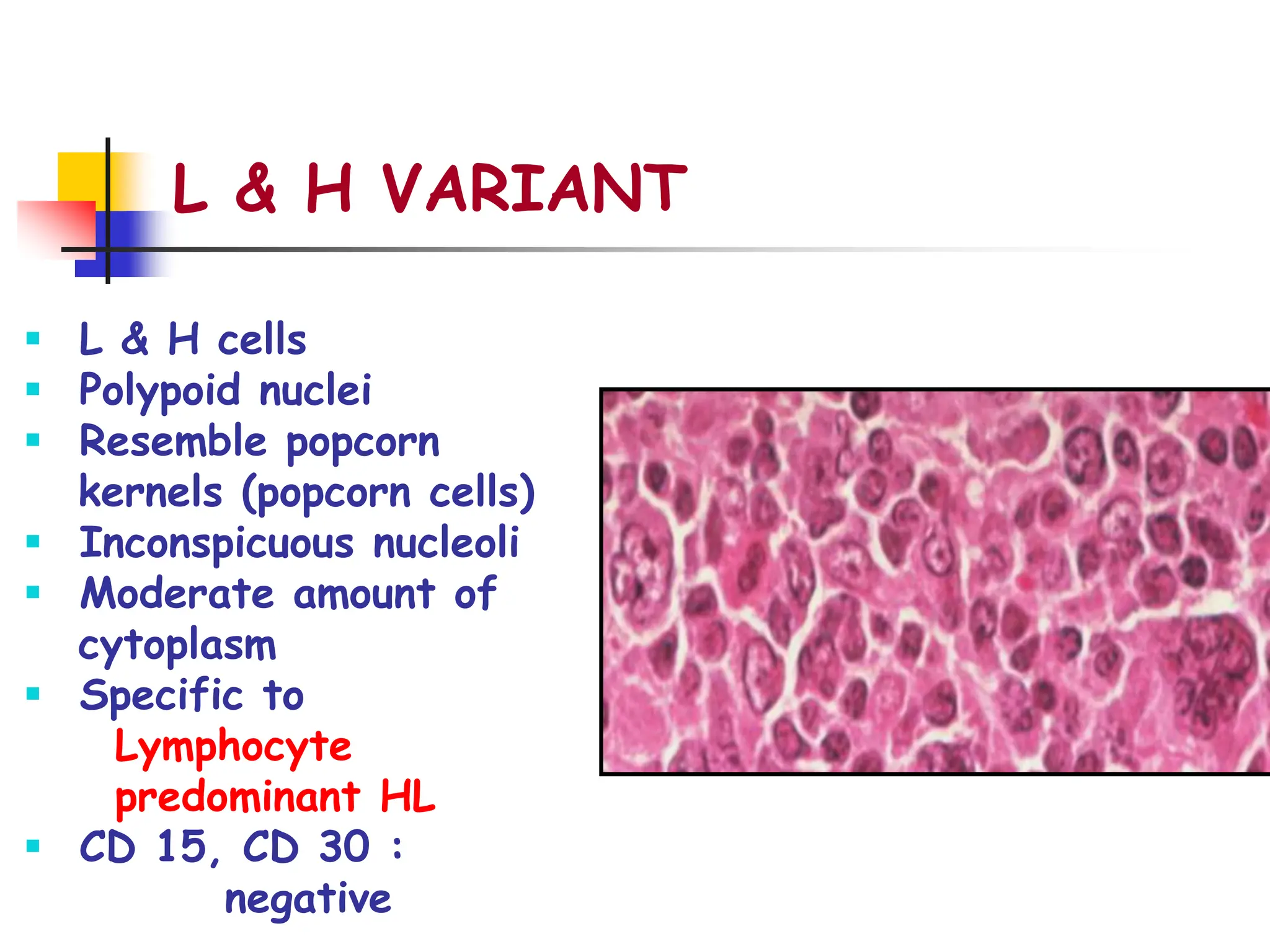 CLASSIFICATION DEFINITION & HODGKIN LYMPHOMA FOR BDS | PPT