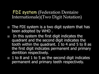 BDS II year Lecture Tooth notation.pptx