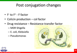 Morphology & Physiology of bacteria | PPT