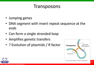 Morphology & Physiology of bacteria | PPT