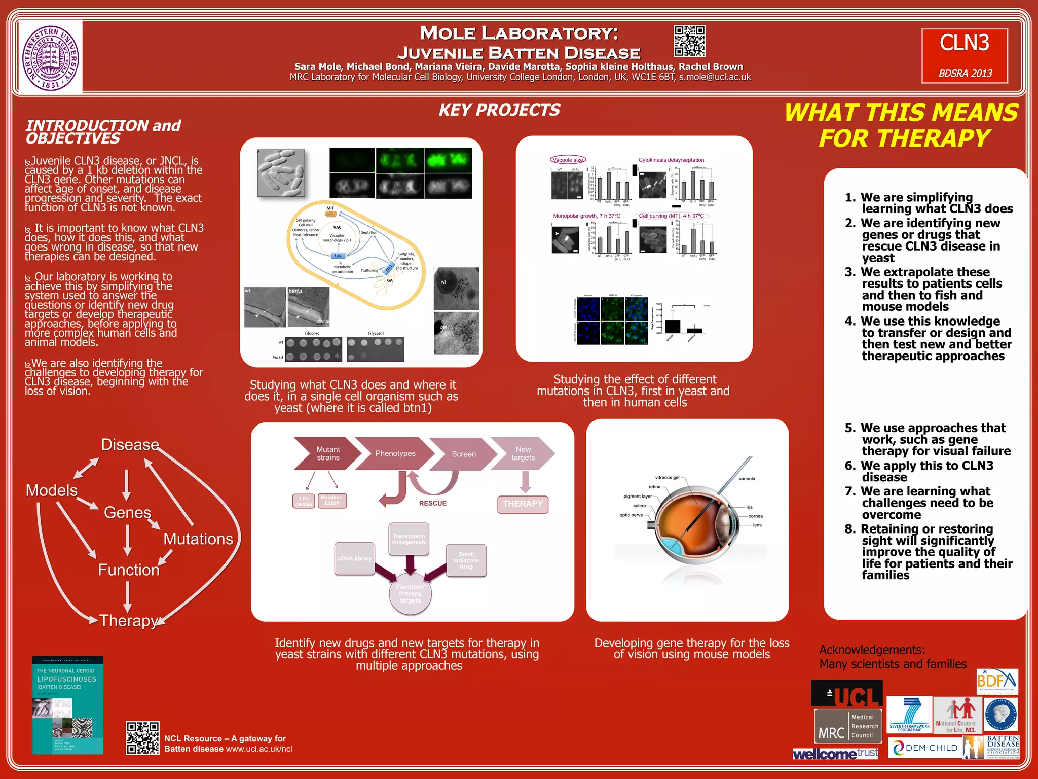 2014 BDSRA Mole JNCL | PPT