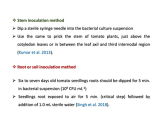Bacterial diseases of vegetables and their screening methodologies | PPTX