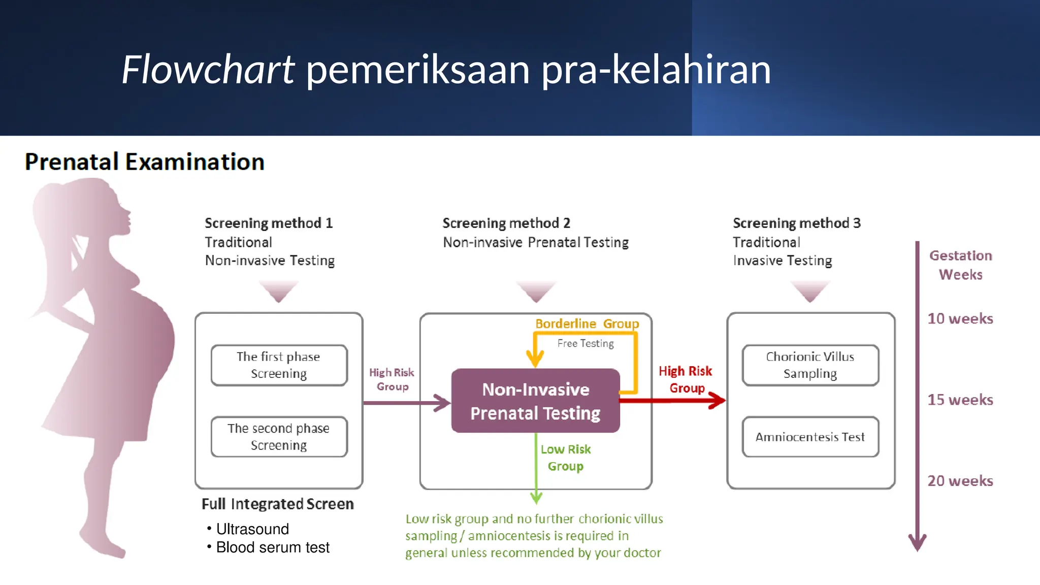 BDW - NIPT presentation plus Firstvue Basic.pptx