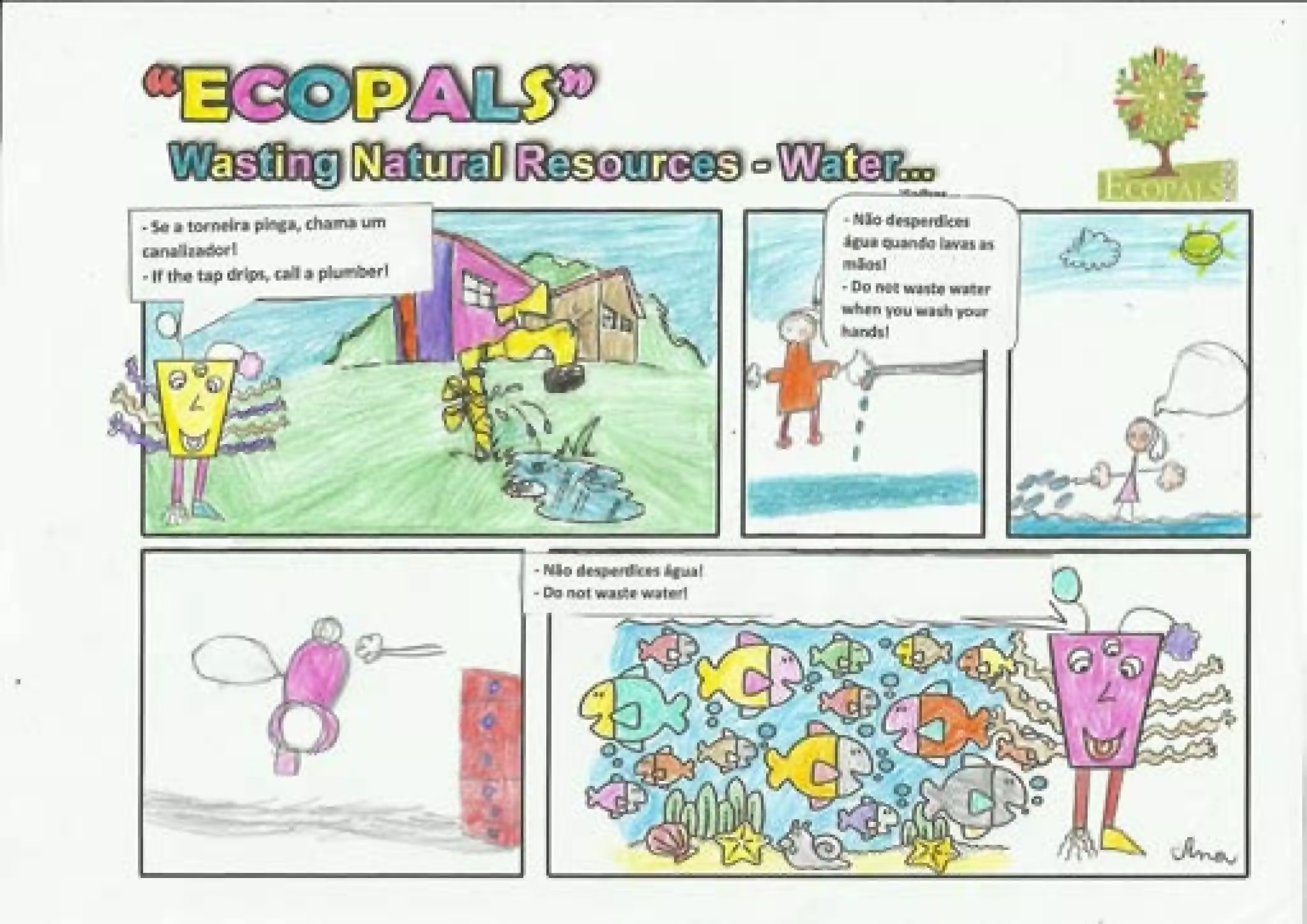 Bd water - Ecopals | PPT