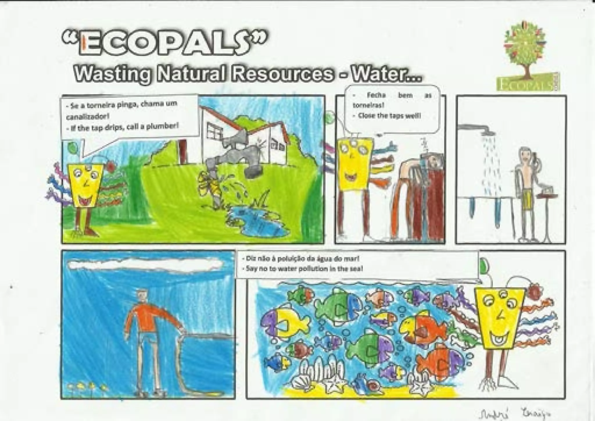 Bd water - Ecopals | PPT