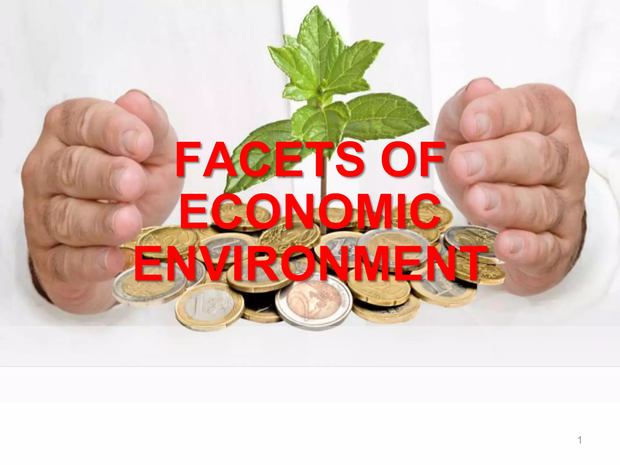 FACETS OF ECONOMIC ENVIRONMENT | PPTX