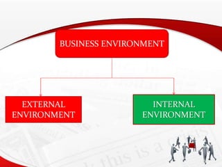 INTERNAL ENVIRONMENT | PPTX