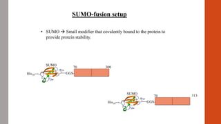 Final Presentation | PPTX