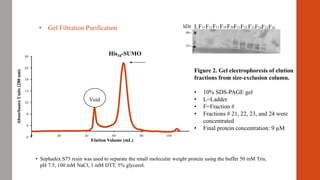 Final Presentation | PPTX