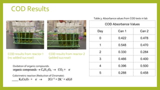 Be 4100 final presentation | PPTX | Agriculture | Industries