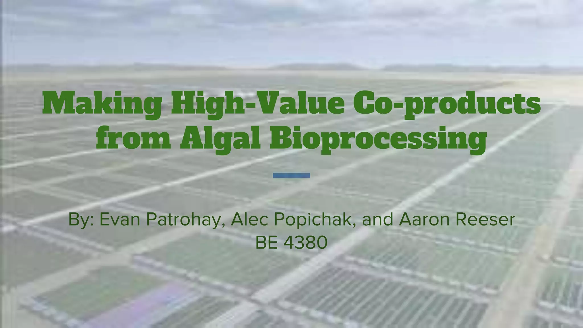 Making High-Value Co-products from Algal Bioprocessing | PPTX | Power and Energy Industry ...