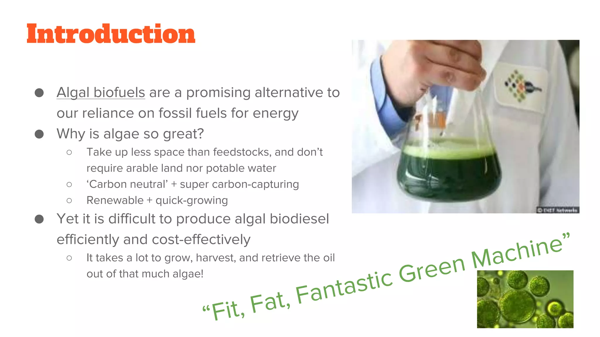 Making High-Value Co-products from Algal Bioprocessing | PPTX | Power and Energy Industry ...