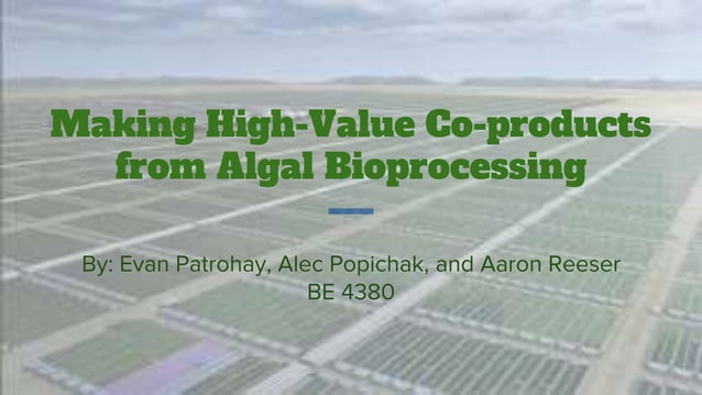 Making High-Value Co-products from Algal Bioprocessing | PPT