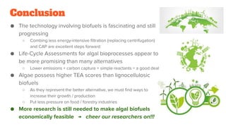 Making High-Value Co-products from Algal Bioprocessing | PPTX | Power and Energy Industry ...