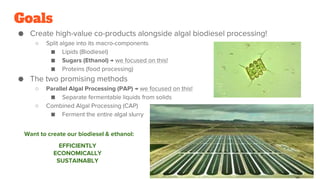 Making High-Value Co-products from Algal Bioprocessing | PPTX | Power and Energy Industry ...