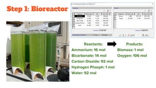 Making High-Value Co-products from Algal Bioprocessing | PPTX | Power and Energy Industry ...