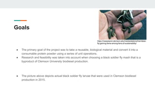 Be 4380 project presentation | PPTX