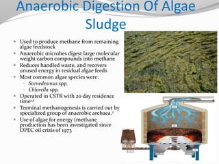 Be 438 senior design project | PPTX