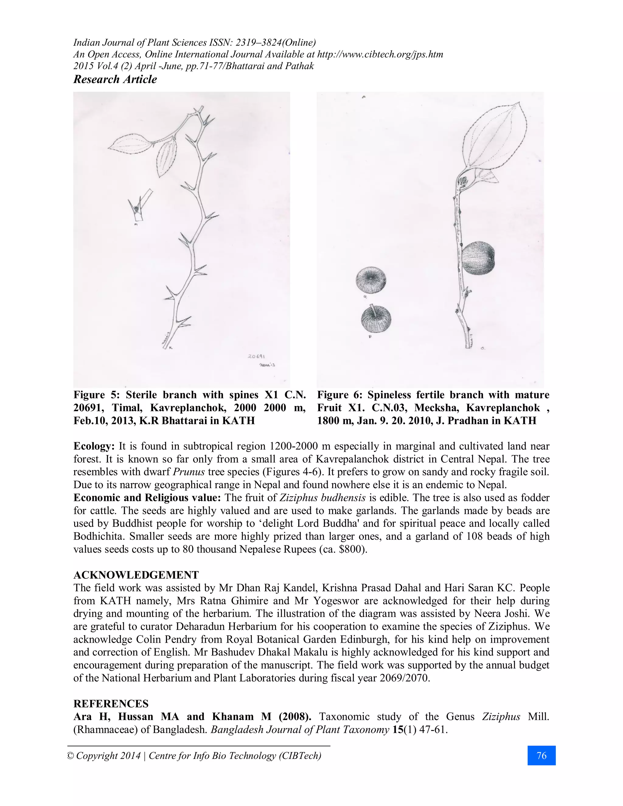 13-JPS-016-BHATTARAI-HIMALAYAS | PDF