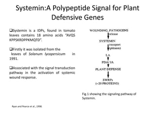 systemin receptor | PPTX
