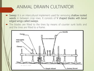 Intercultural Equipments | PPTX