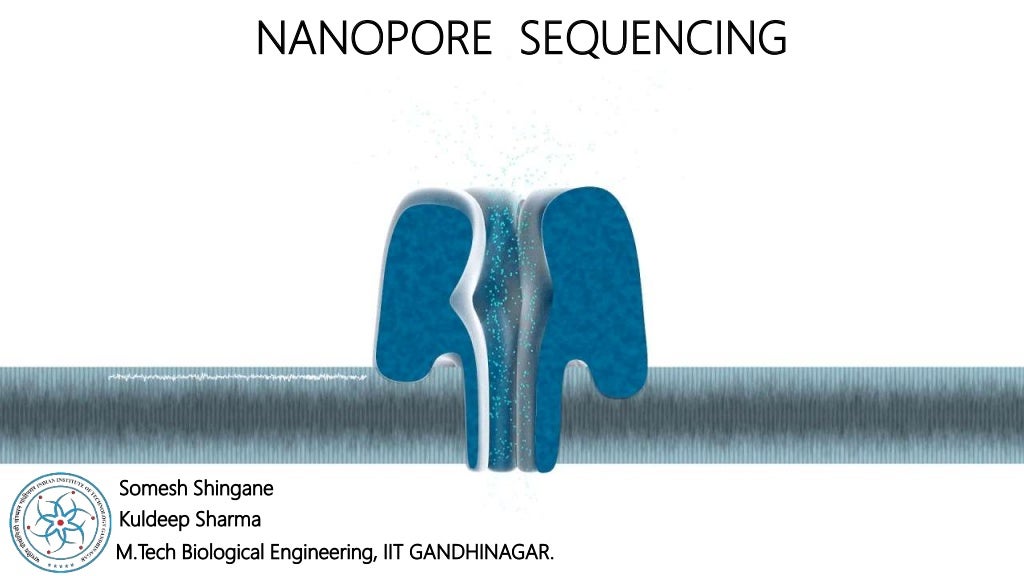 Nanopore Sequencing