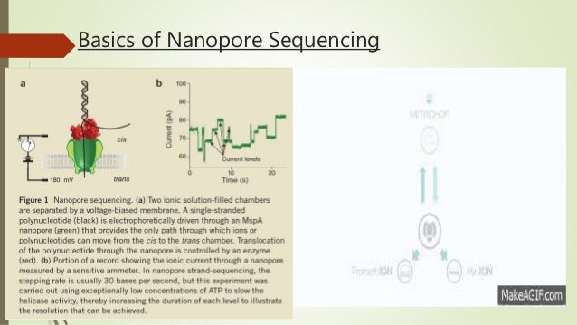Nanopore Sequencing