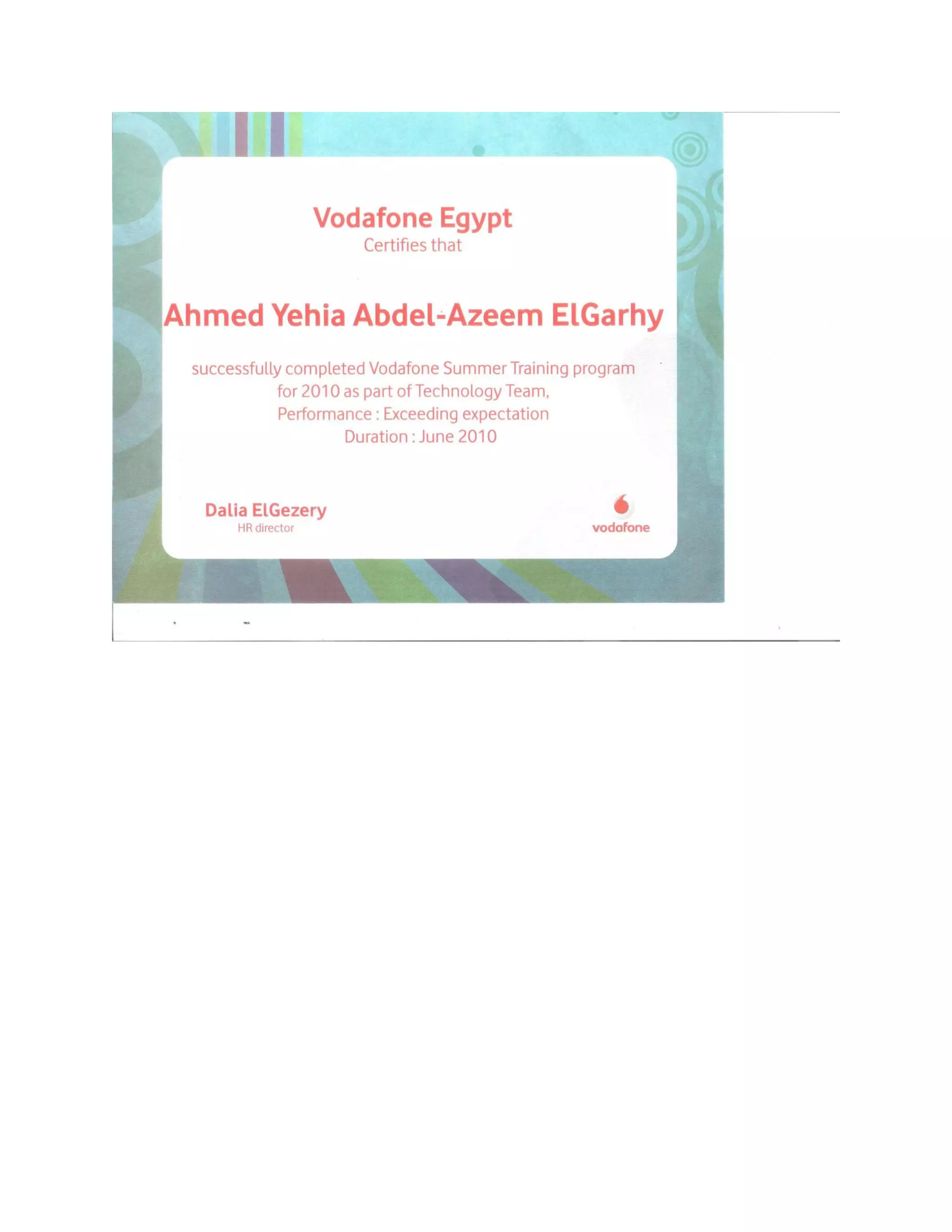 Vodafone Internship | PDF