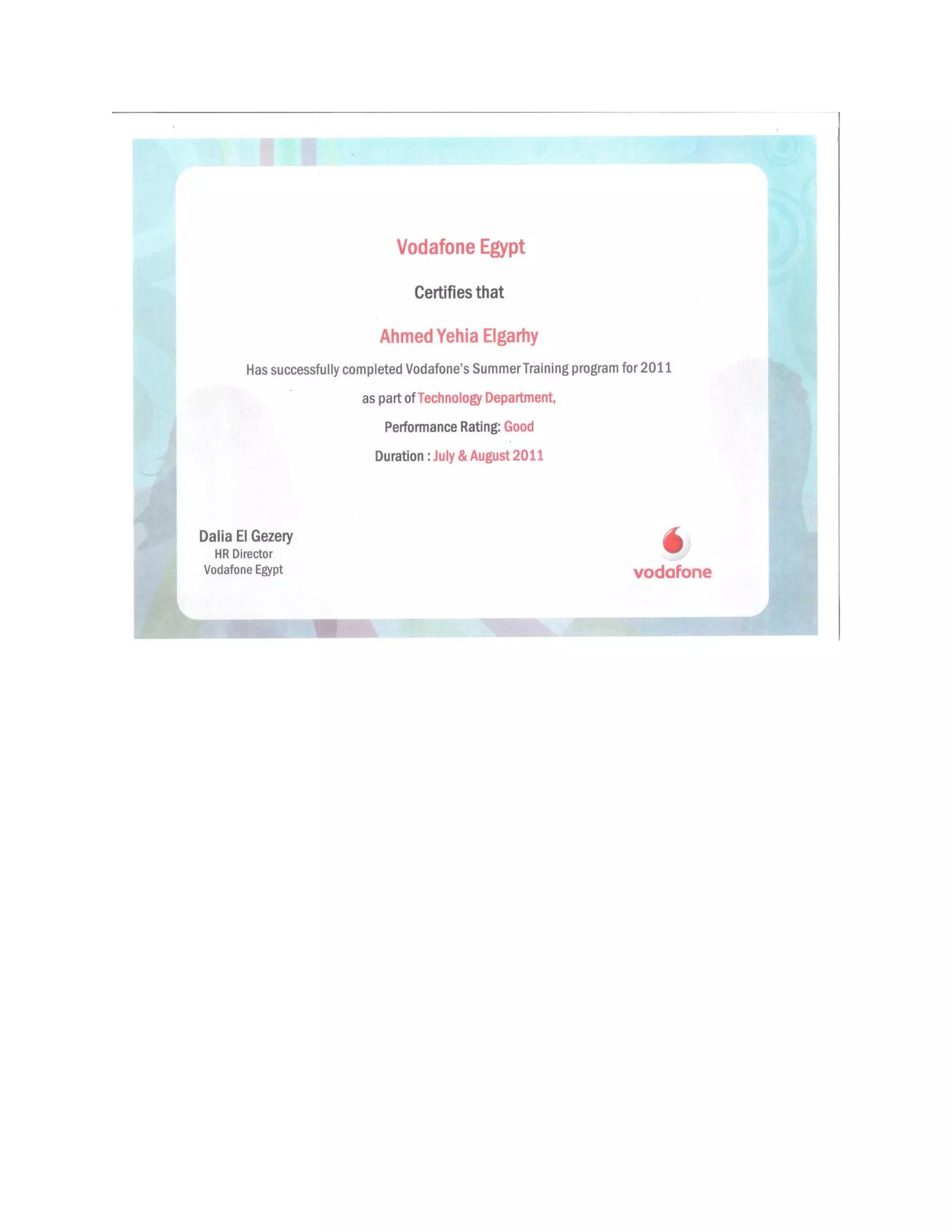 Vodafone Internship | PDF