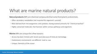 Isolation of Bioactive Natural Products from Marine Invertebrates | PDF