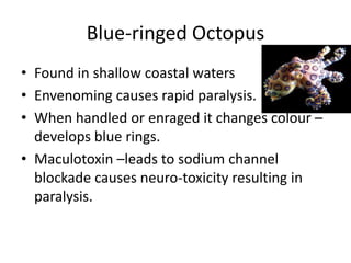 Marine Envenomation | PPTX