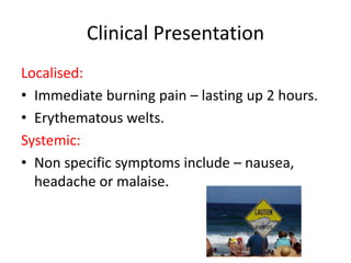 Marine Envenomation | PPTX