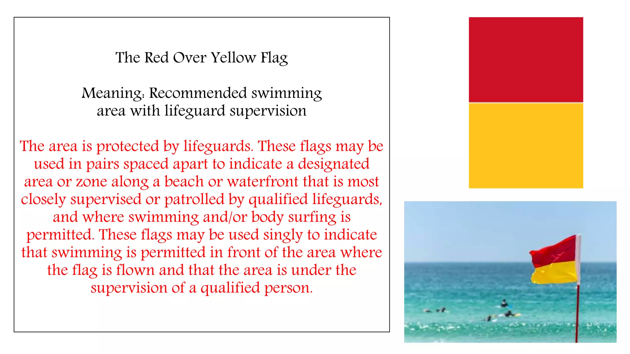 Beach flags and warning signs | PPTX