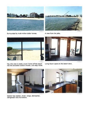 Beach Life Storybook | PDF