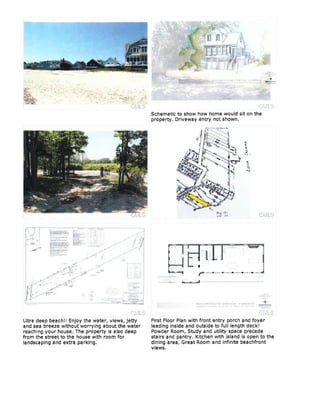 Beach Life Storybook | PDF