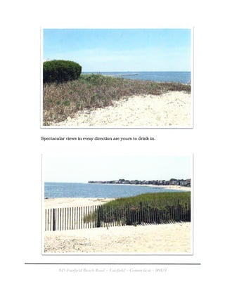 Beach Life Storybook | PDF