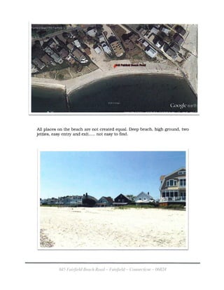 Beach Life Storybook | PDF