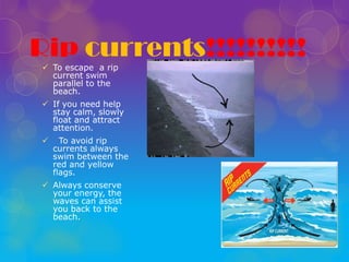 Beach Safety! | PPTX