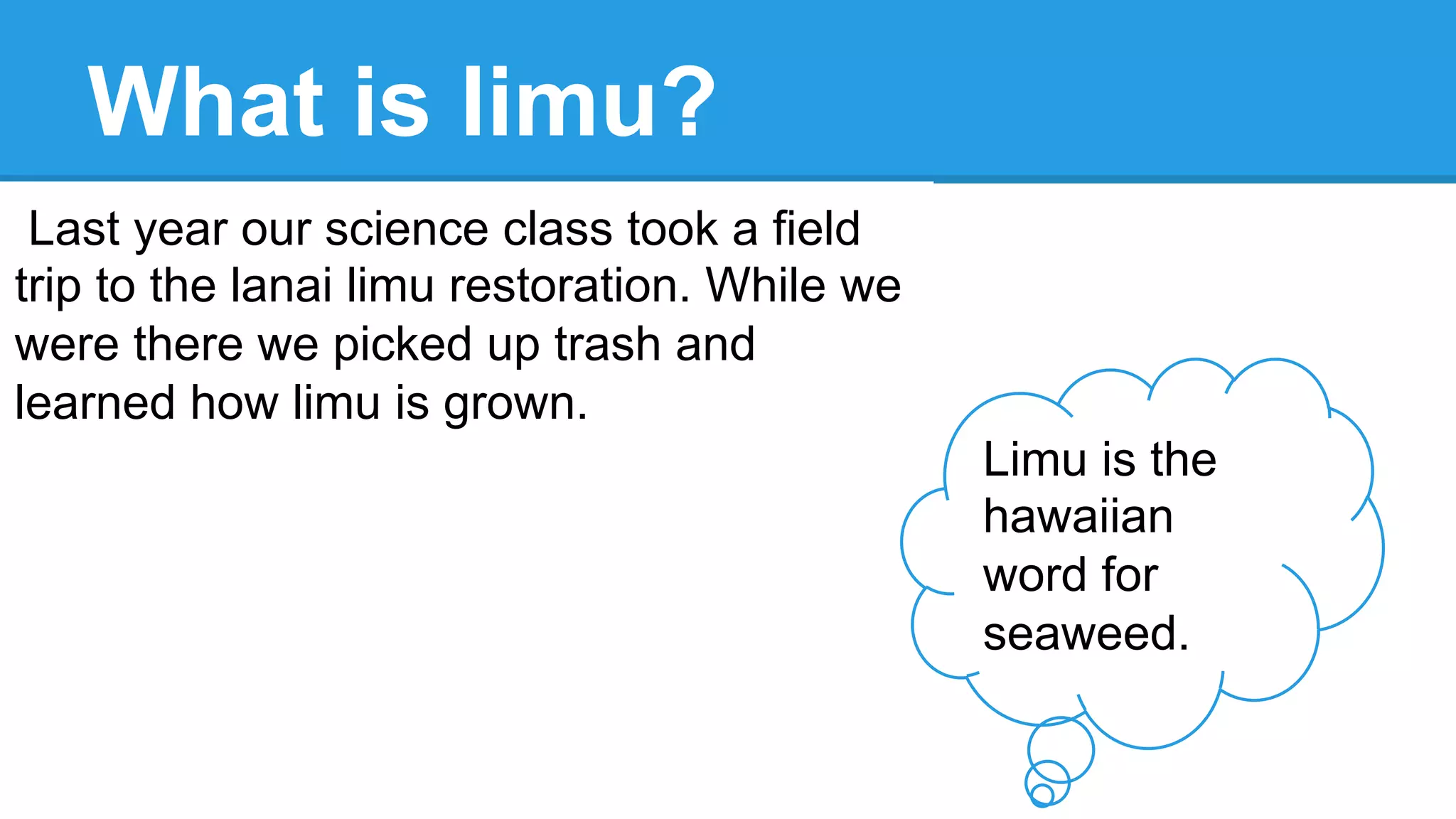 UNSDG #13 – Climate Action Beach Sustainability | PDF