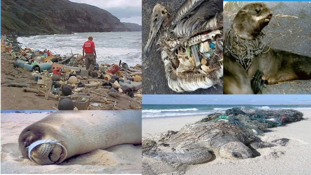 UNSDG #13 – Climate Action Beach Sustainability | PPT