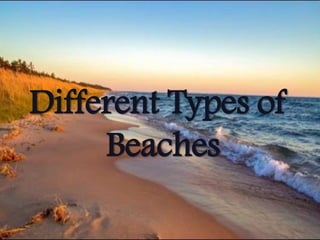 Beach Tourism | PPT