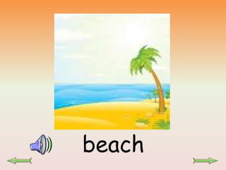 Beach vocabulary | PPTX