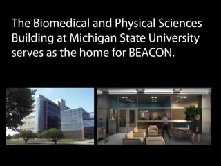 BEACON Images - Evolution in Action | PPT