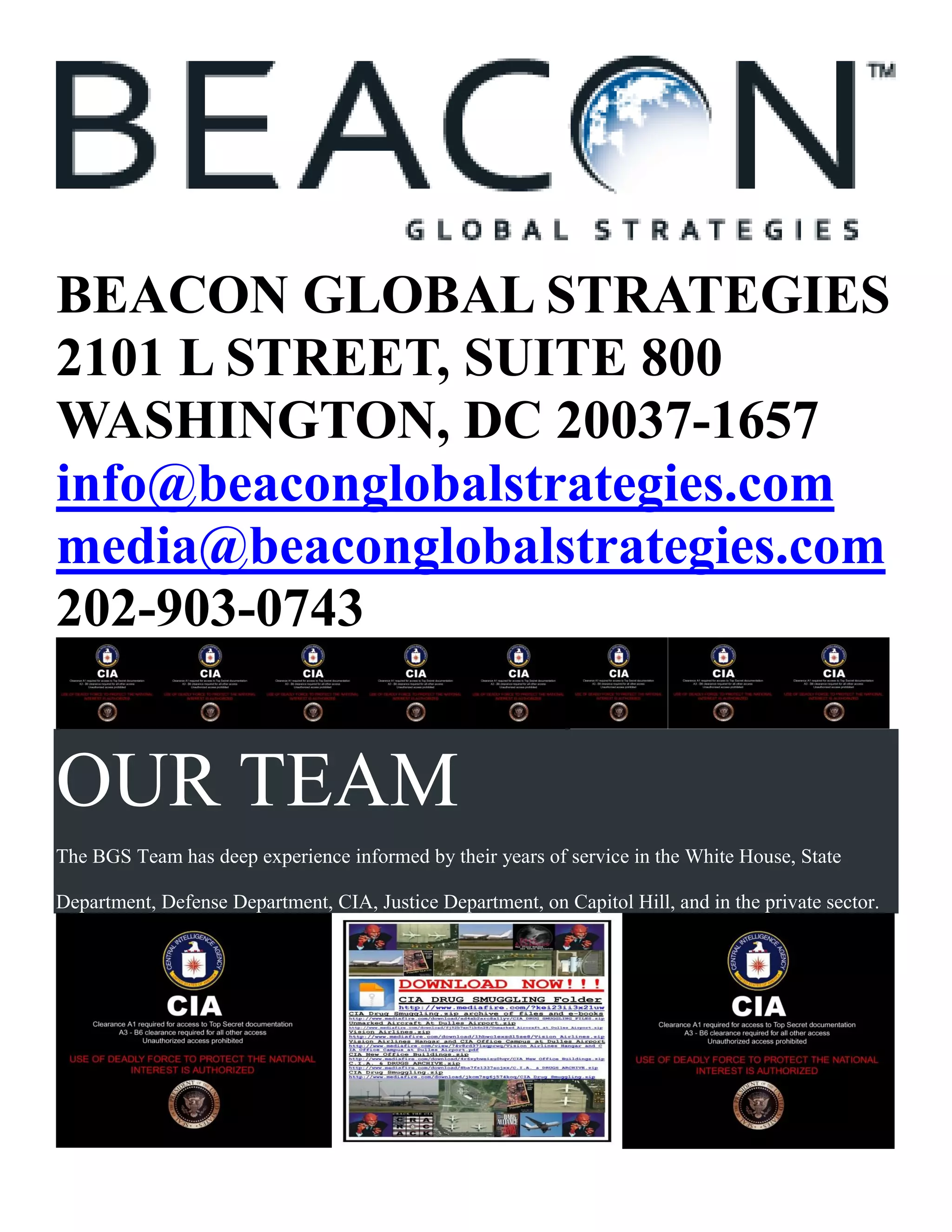 Beacon global strategies our team | PDF