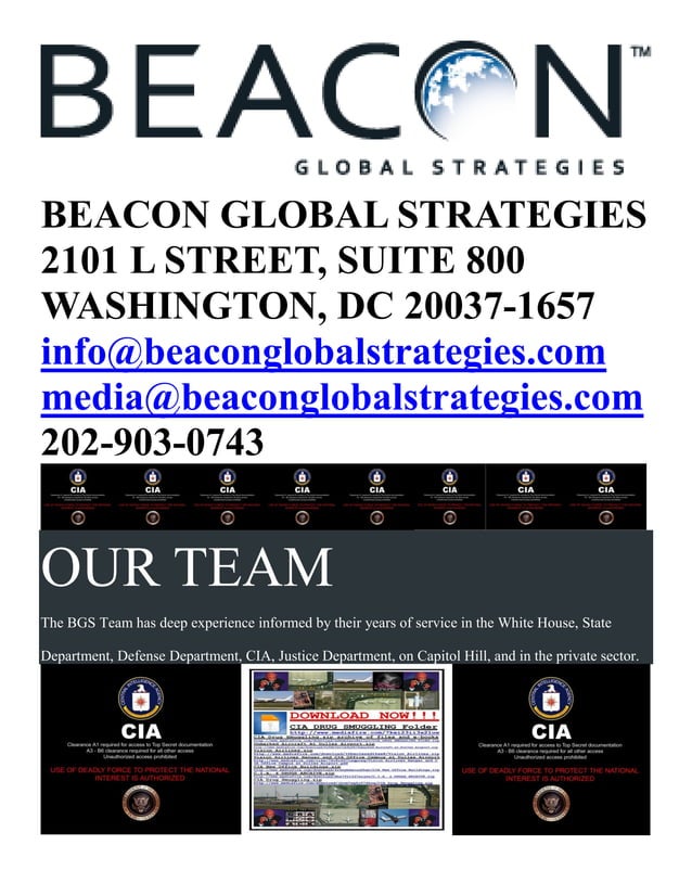 Beacon global strategies our team | PDF