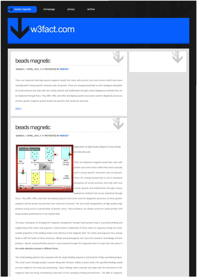 Beads Magnetic | PDF