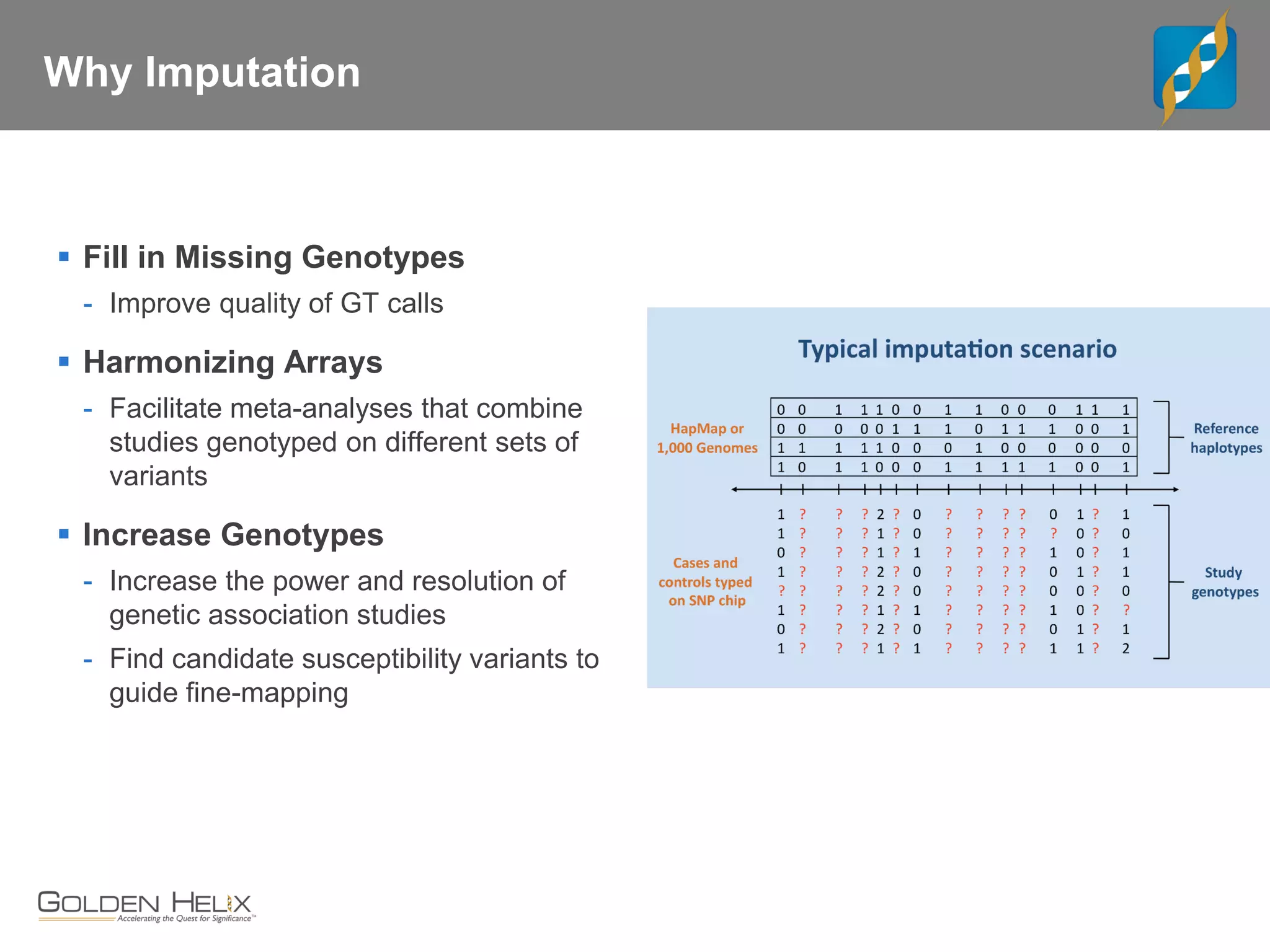 Beagle Imputation in SVS | PDF