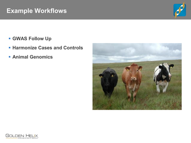 Beagle Imputation in SVS | PDF