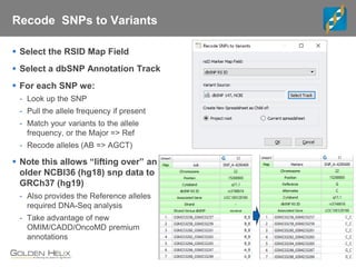 BEAGLE Imputation in SVS for Human & Animal SNP Data | PDF
