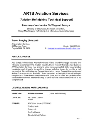 Beagley, t aviation business cv | PDF